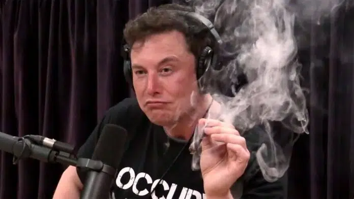 Elon Musk’s AI Repeatedly Answers “No” When Asked If the Tech ...