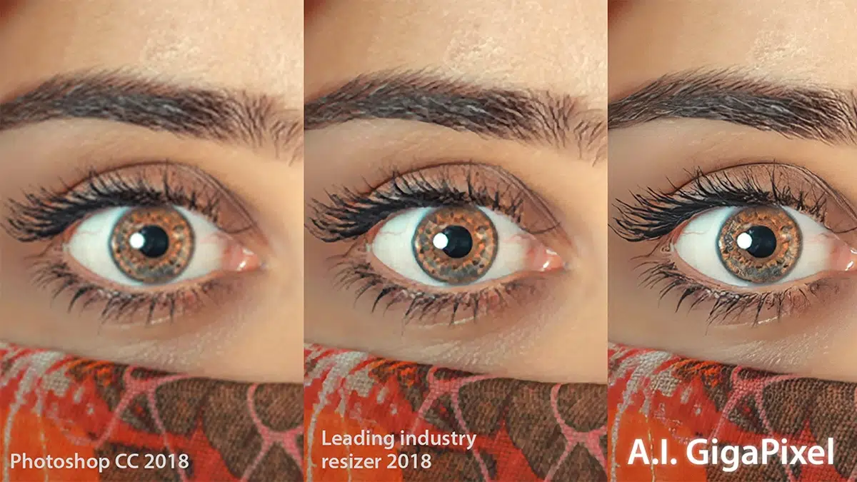 Gigapixel AI v5.8 Released: Better Image Quality with GPUs, Reduced ...