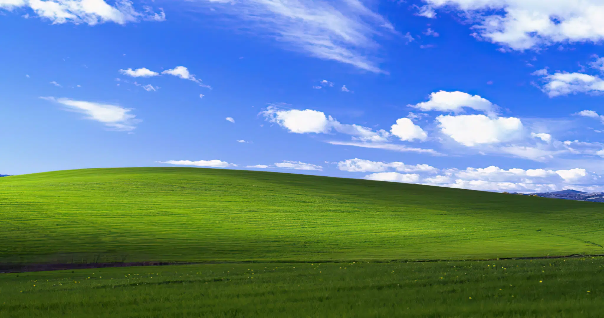 Microsoft Celebrates Windows XP's Iconic "Bliss" Wallpaper with a New ...
