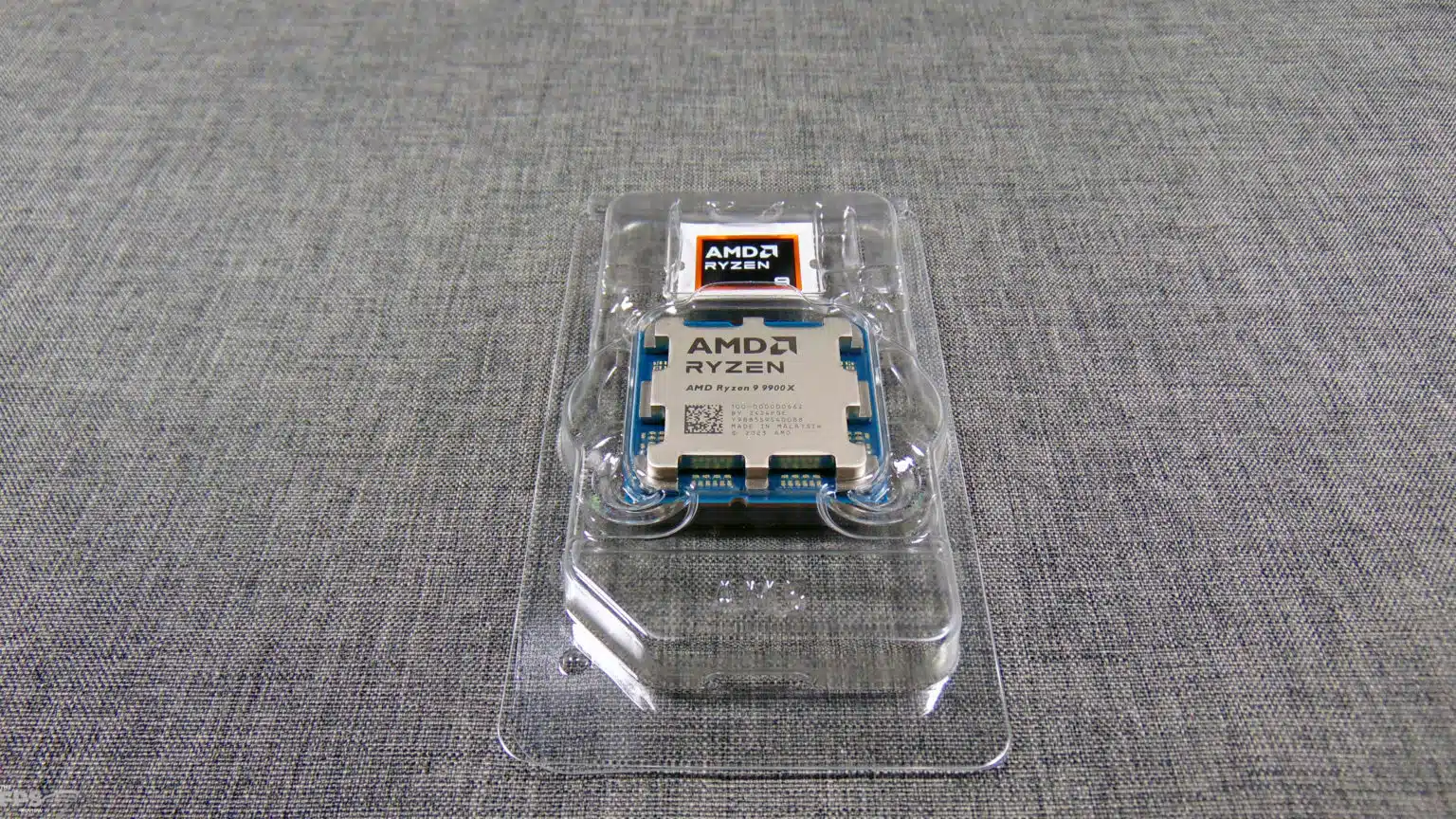AMD Ryzen 9 9900X CPU Review: 12-Core Zen 5 at $499