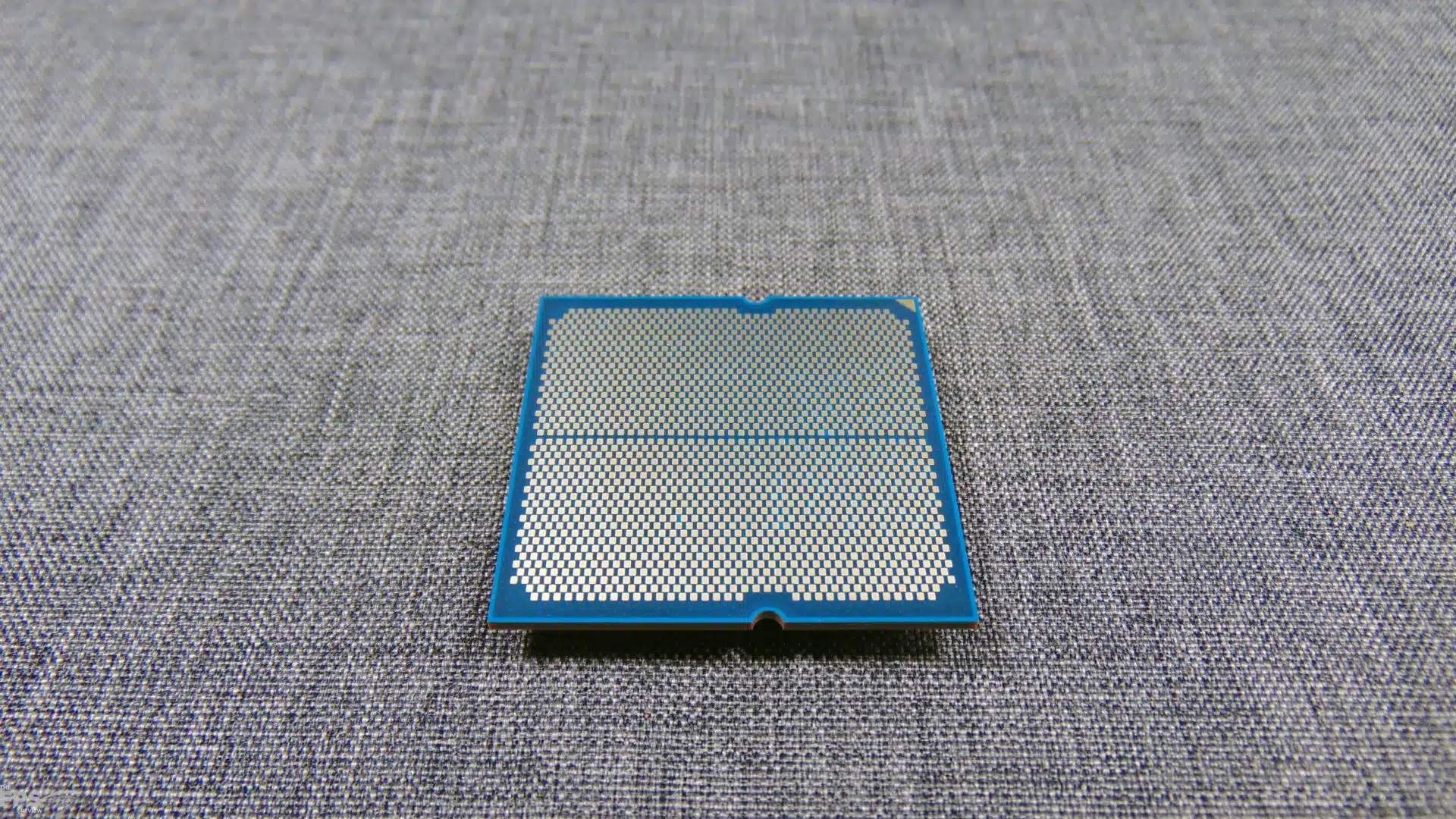 AMD Ryzen 9 9900X CPU Review: 12-Core Zen 5 at $499